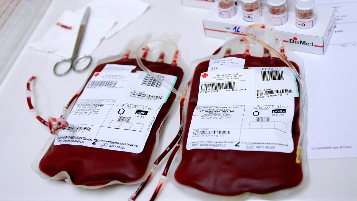 Blodposer inneholder giftig stoff – NRK Livsstil – Tips, råd og innsikt