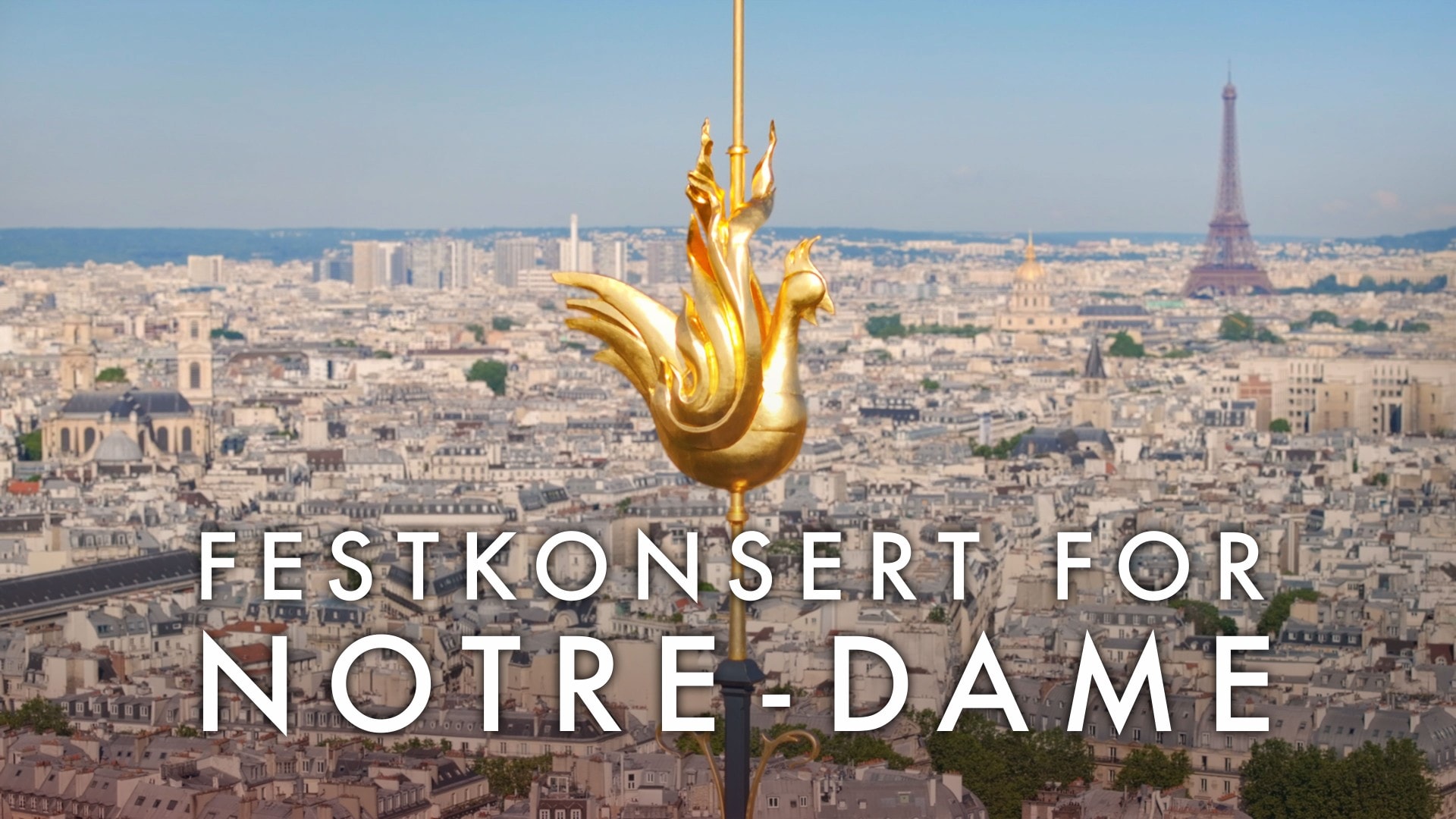 Festkonsert for Notre-Dame - NRK TV