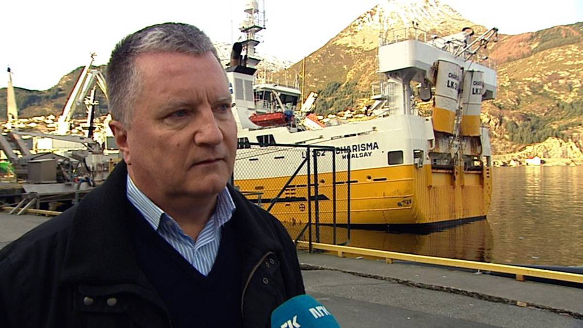Domstein vedgår feilsatsing – NRK Vestland