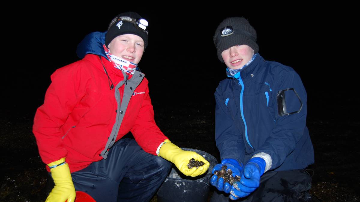 Jørgen og Ruben fant penger i fjæra – NRK Nordland