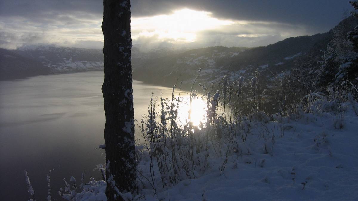 Hausten i bilete del 8 – NRK Vestland