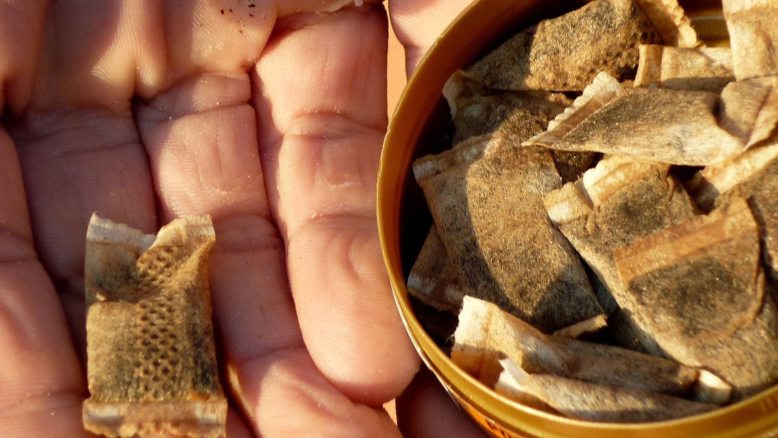 Klar sammenheng mellom snus og kreft – Siste nytt – NRK