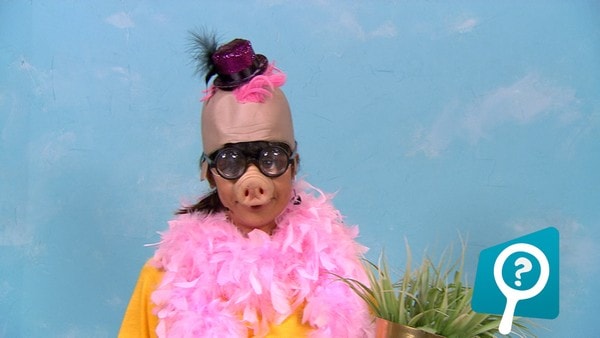 NRK Super - Barne-TV