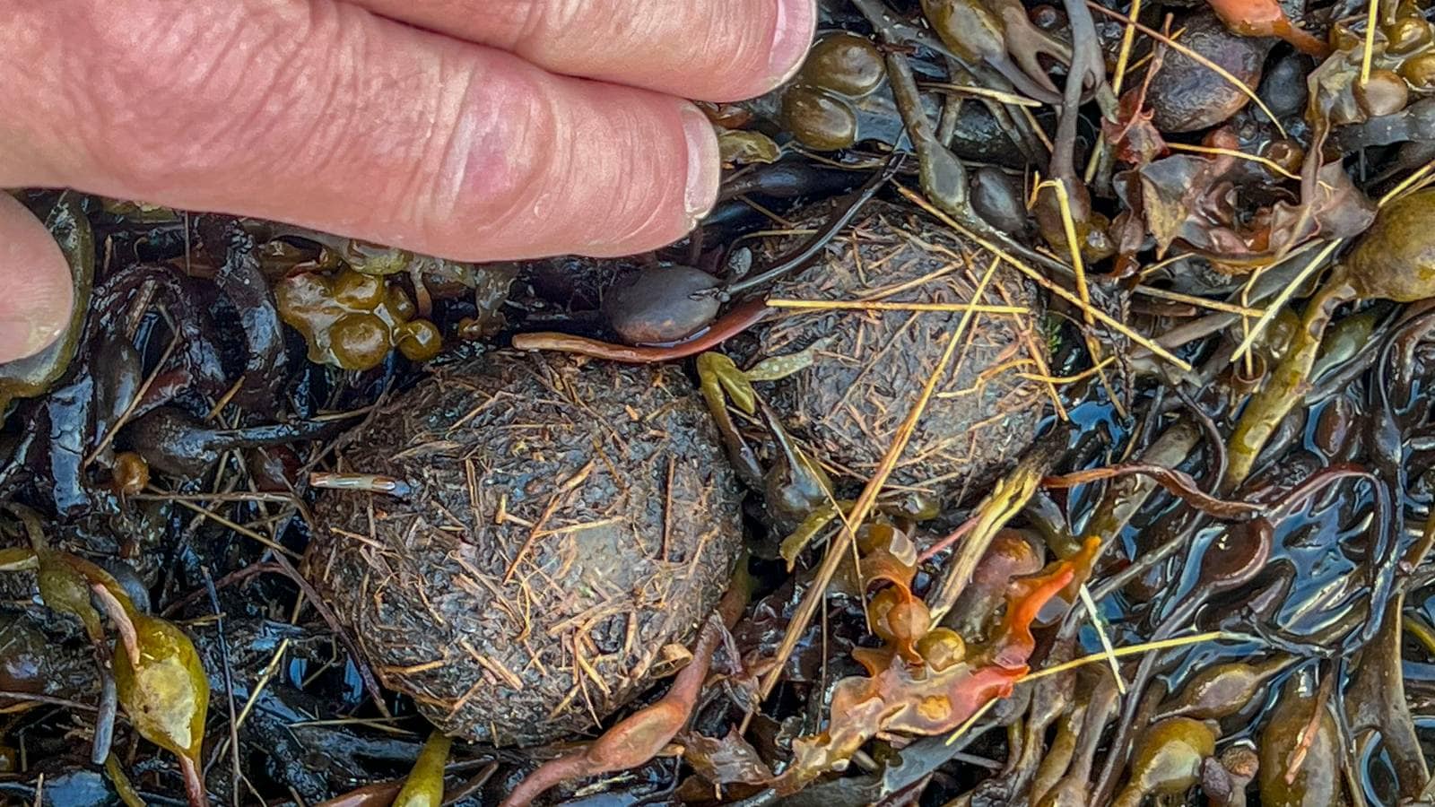 Equinor sier oljesøl i Norskehavet skyldtes teknisk problem – NRK Nordland