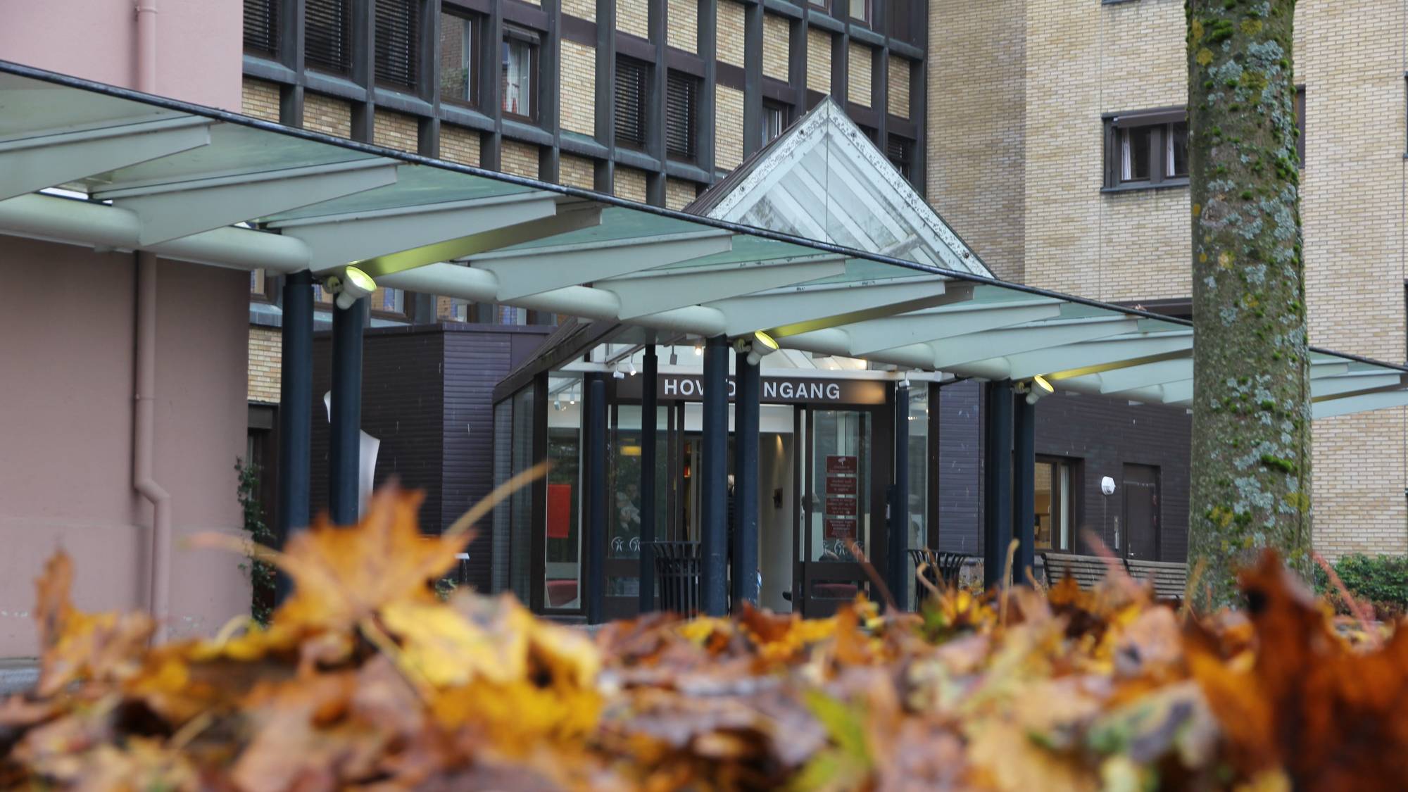 Har åpnet tilsyn etter at pasient døde på sykehus – NRK Vestfold og ...