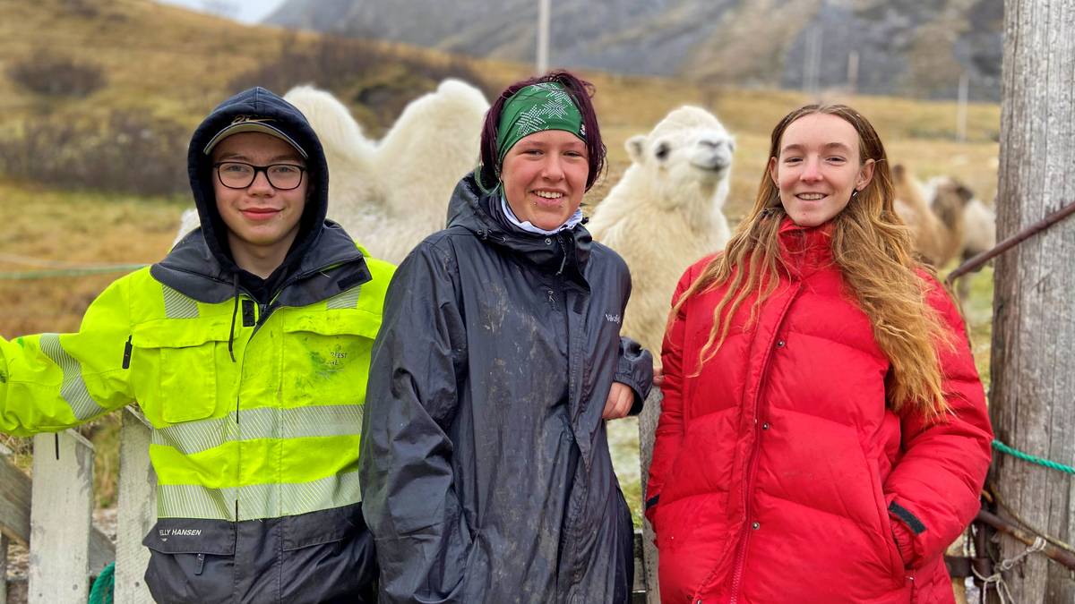 4 poeng til Akkarfjord i Klassequizen – NRK Troms og Finnmark