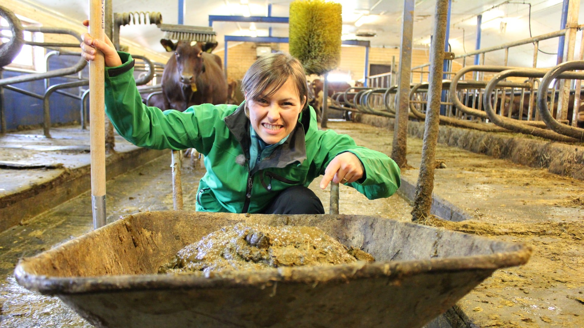 Newton arkiv - NRK TV