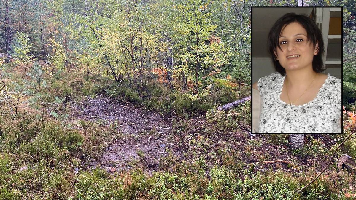 Resultatløs leting etter savnet kvinne – Siste nytt – NRK