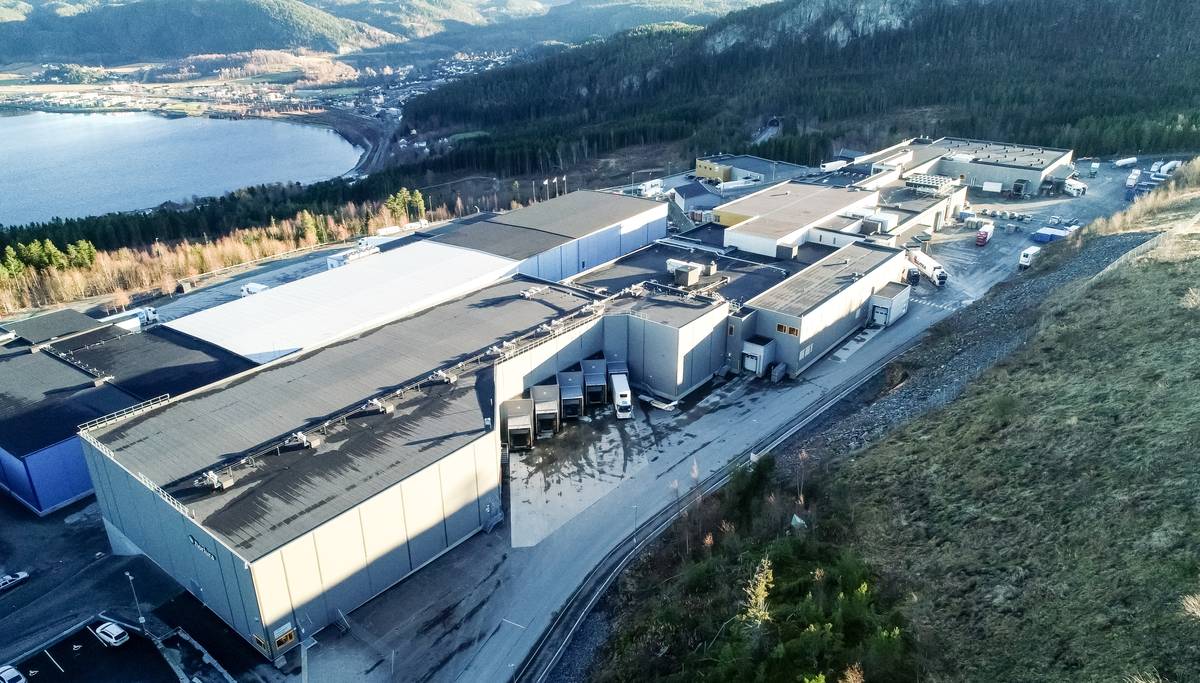 Beholder skjærelinja i Malvik – NRK Trøndelag – Lokale nyheter, TV og radio