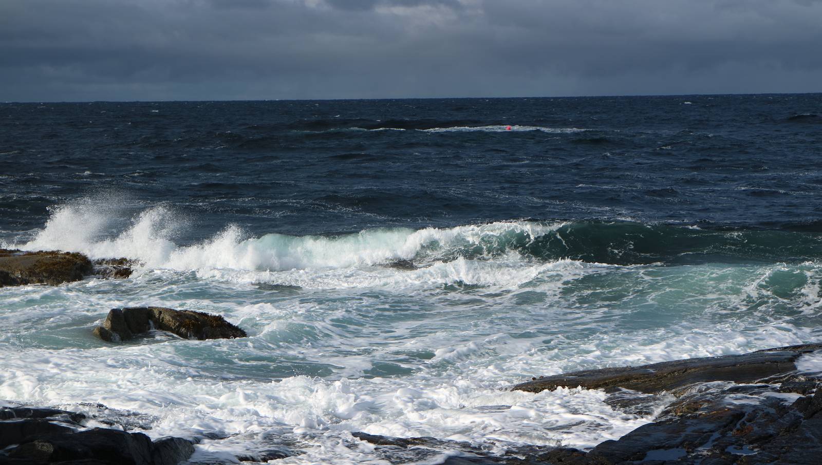 Går Bua-Marit på Bjørnsund igjen der ute? – NRK Møre og Romsdal ...