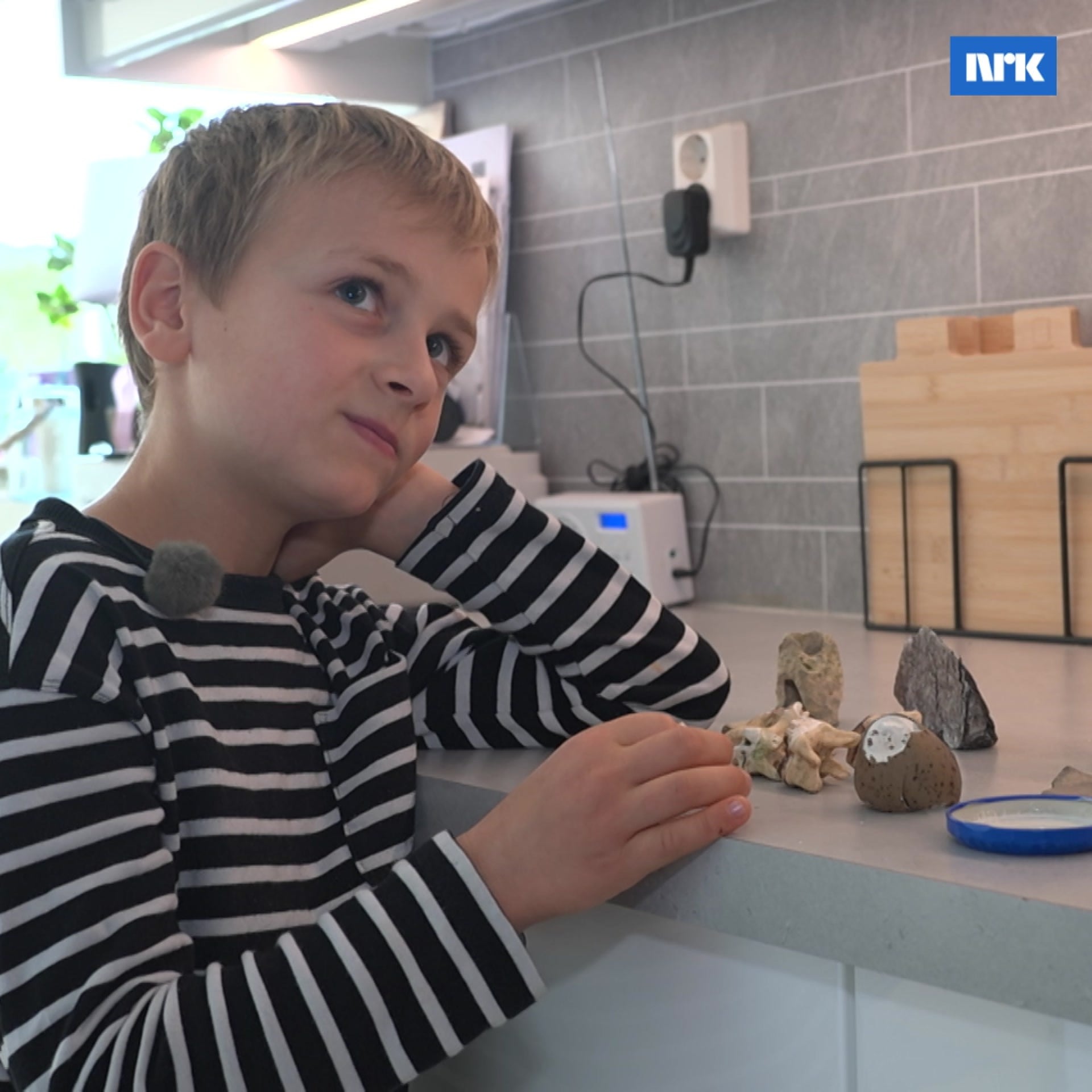 Torstein (8) fann steinalderskatt – NRK