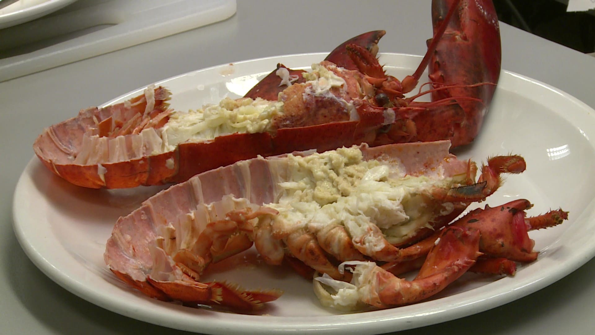 Slik spiser du hummer – NRK Vestland