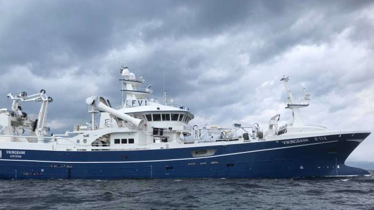 Spøkelsesfiske: Fiskeridirektoratet fant hai i spøkelsesgarn – går mot ny rekord – NRK Nordland