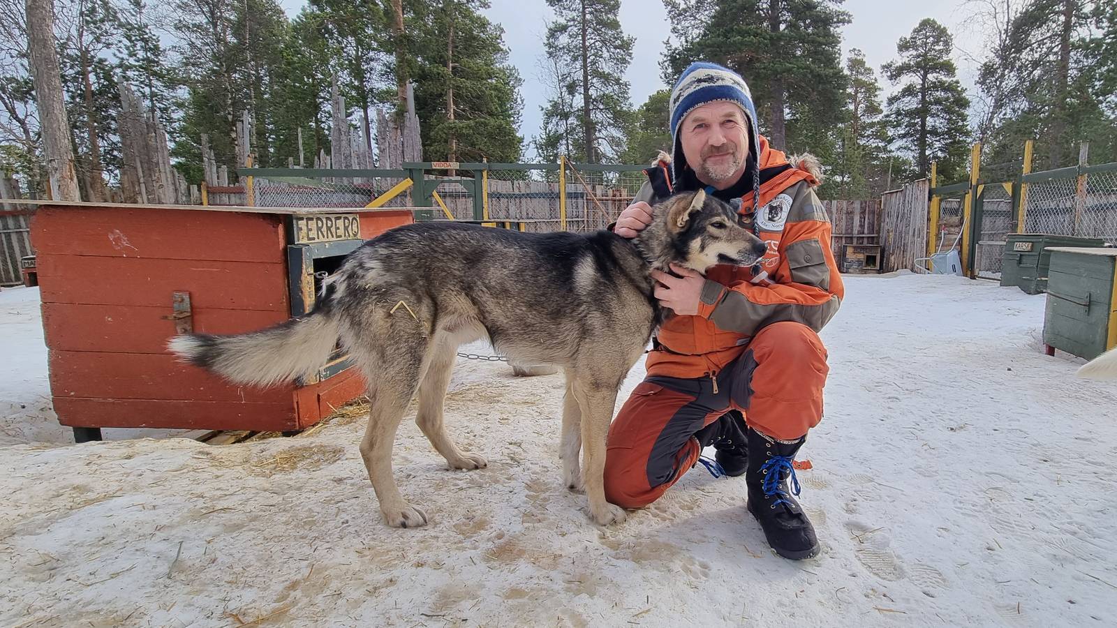 Harald Tunheim må trekke seg fra årets Finnmarksløp: – Hundene er blitt ...