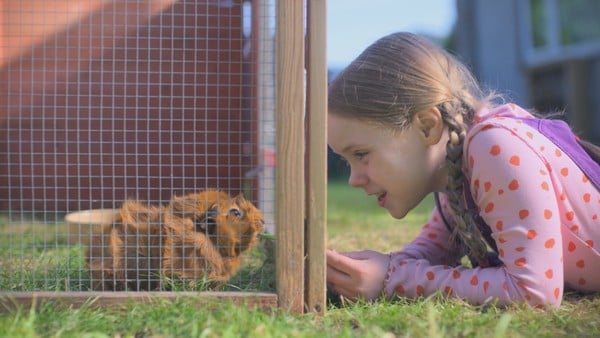 NRK Super - Olga da Polga