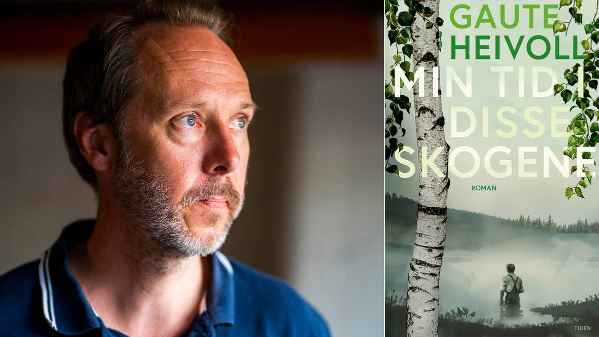 Anmeldelse: «Min tid i disse skogene» av Gaute Heivoll – NRK Kultur og ...