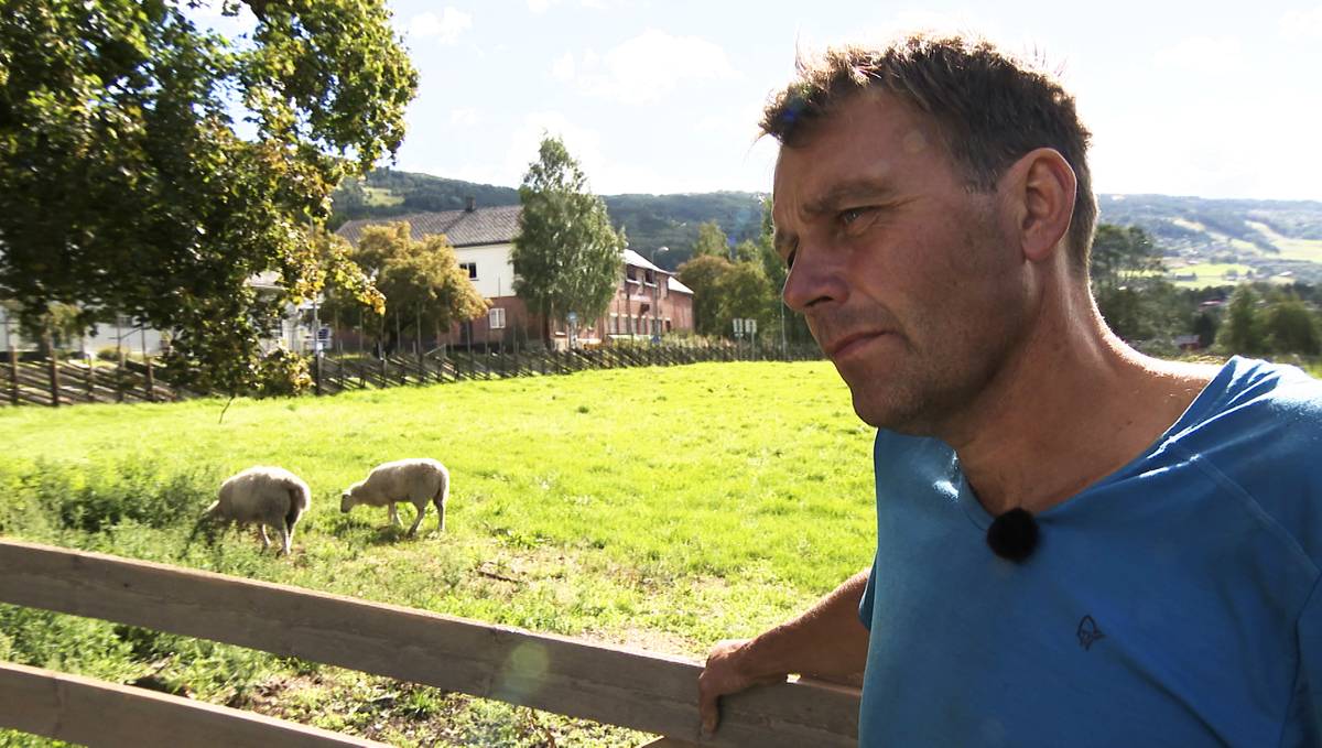 Erling Jevne reagerer på boikott av sauekjøtt: – Merkelig og trist ...