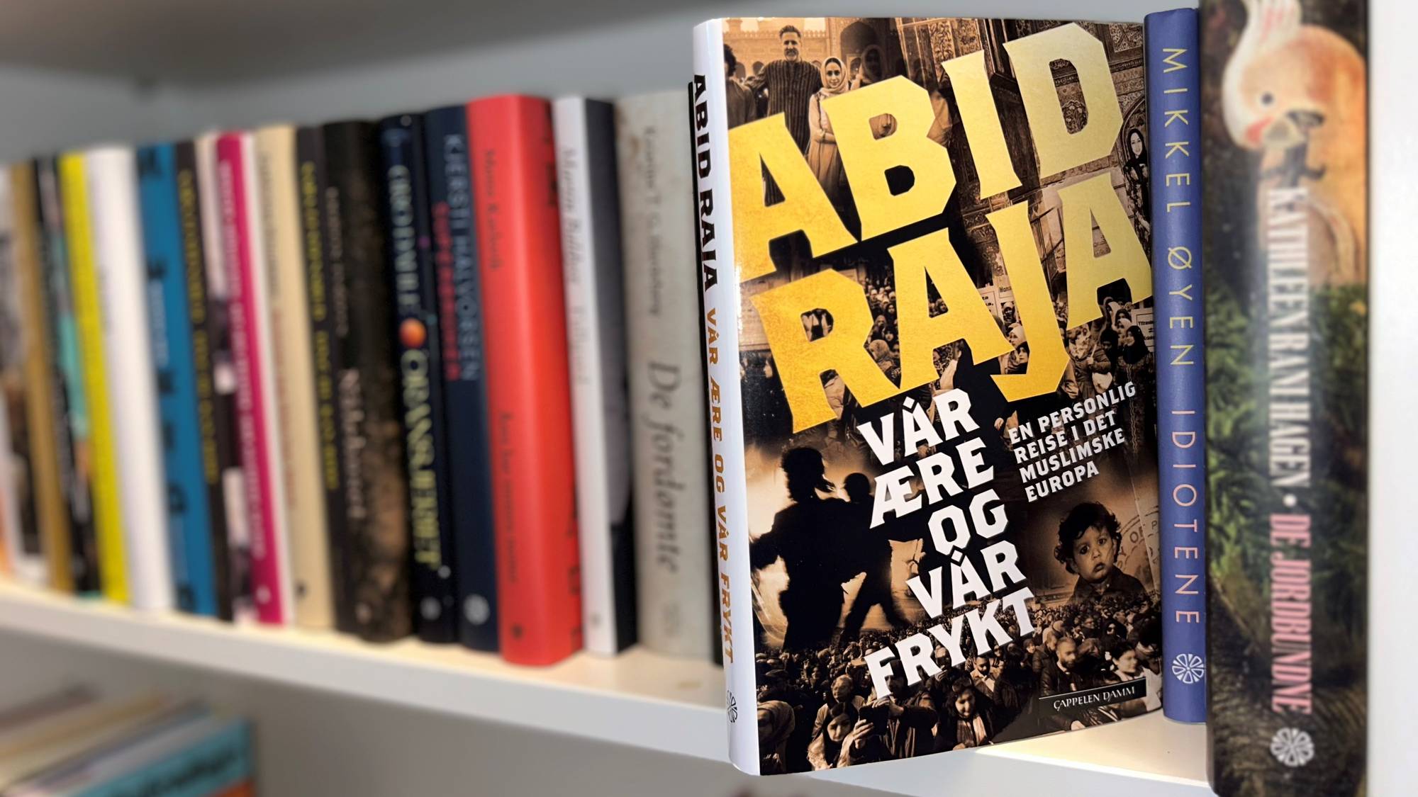 Anmeldelse: «Vår ære og vår frykt» av Abid Raja – NRK Kultur og ...