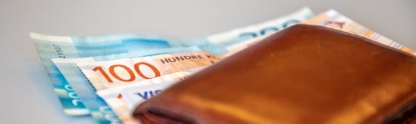 Roger Hofseth og Knut Flakk og «Aksjon for Norsk Eierskap» til ...