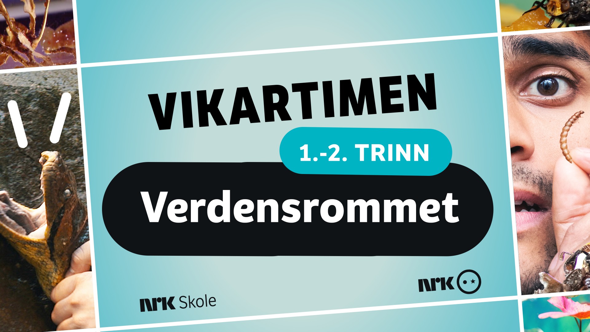 Vikartimen 1.-2. trinn (2:20 @ Vikartimen 1.-2. trinn) – NRK
