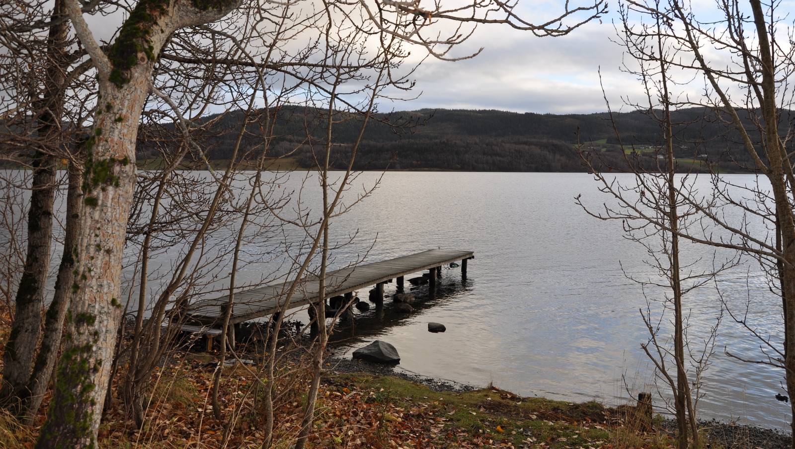 Bobleanlegg blåser liv i sjøen Botn – NRK Trøndelag – Lokale nyheter ...