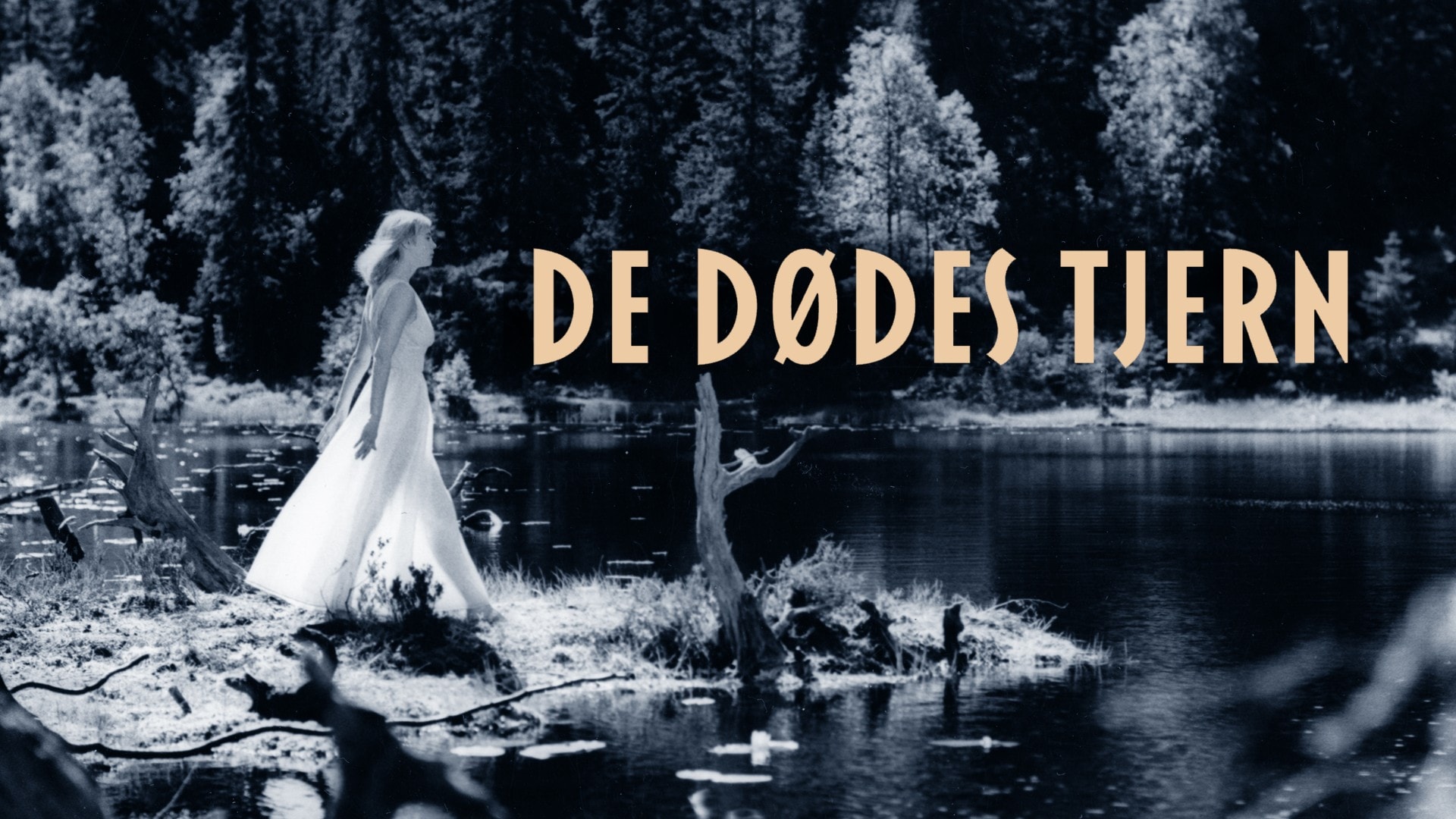 De dødes tjern - NRK TV
