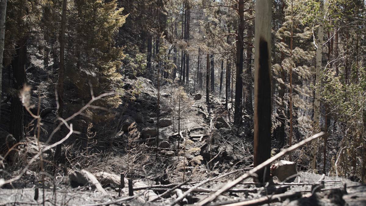 Fortsatt Innsats I Nissedal Nrk Vestfold Og Telemark Lokale Nyheter