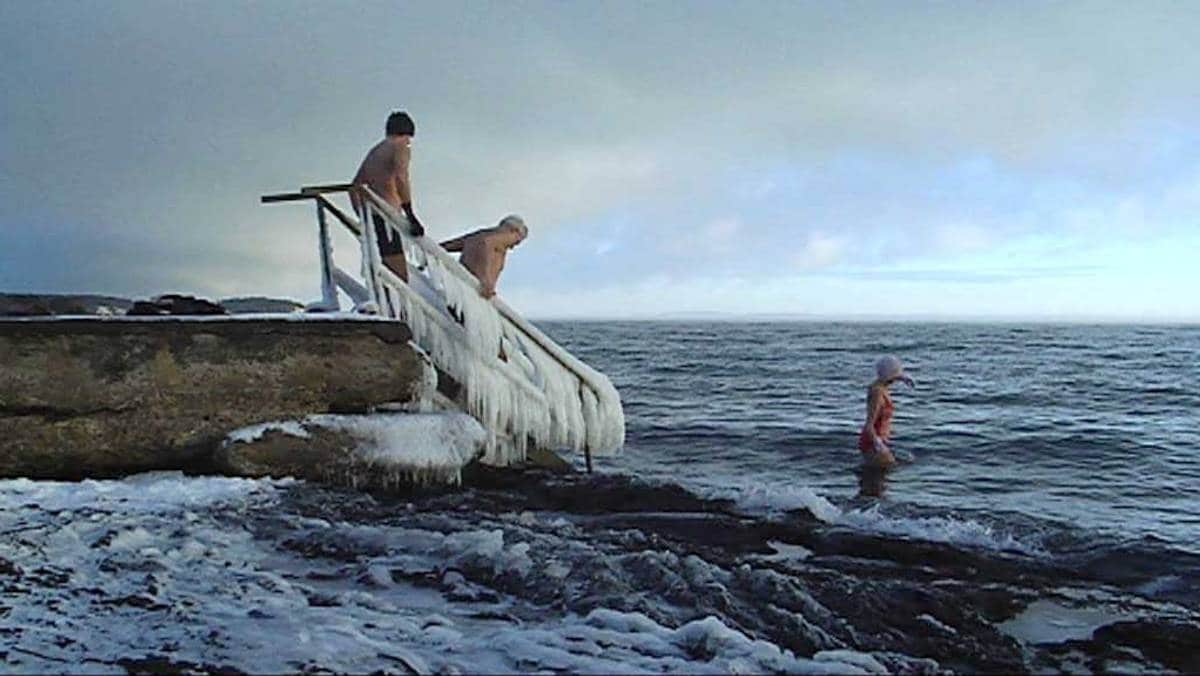 Isbader i Tønsberg – NRK Vestfold og Telemark – Lokale nyheter, TV og radio