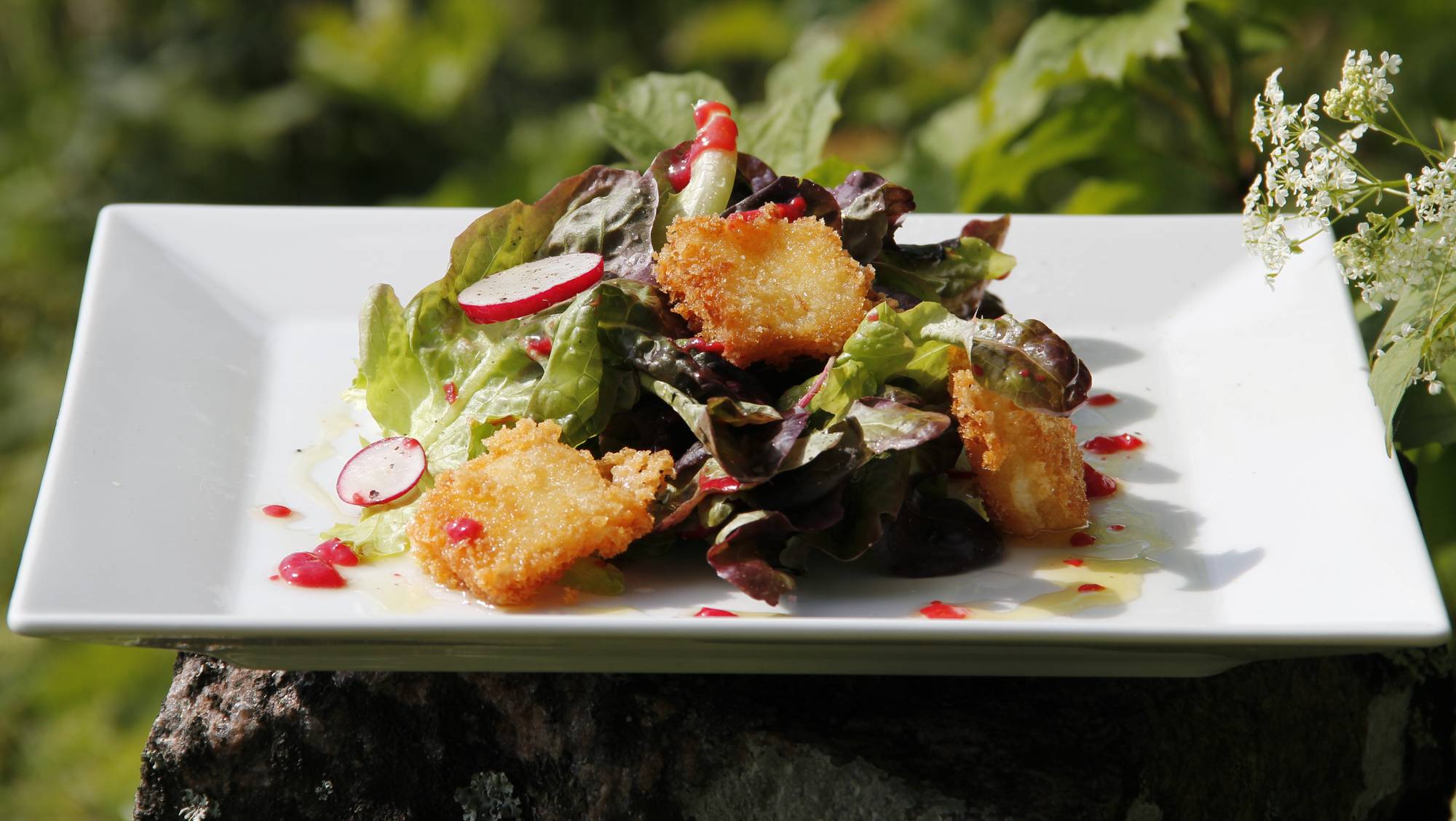 Salat med stekt ost og bær­vinaigrette – NRK Mat – Oppskrifter og ...