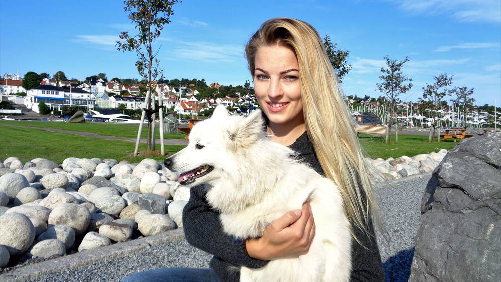 Slik unngår du at hunden din blir solbrent – NRK Vestfold og Telemark ...