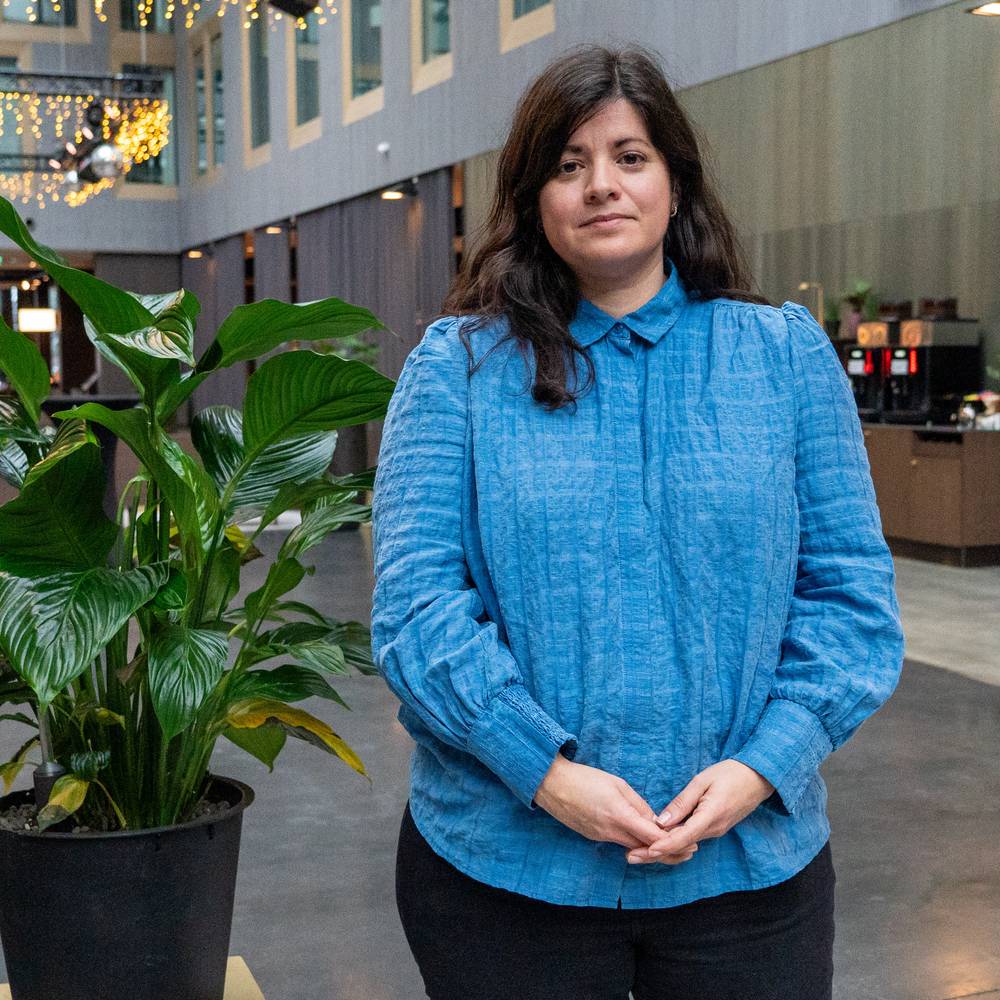 Nå kan du sjekke hvor mye gammel skog som finnes der du bor – NRK ...