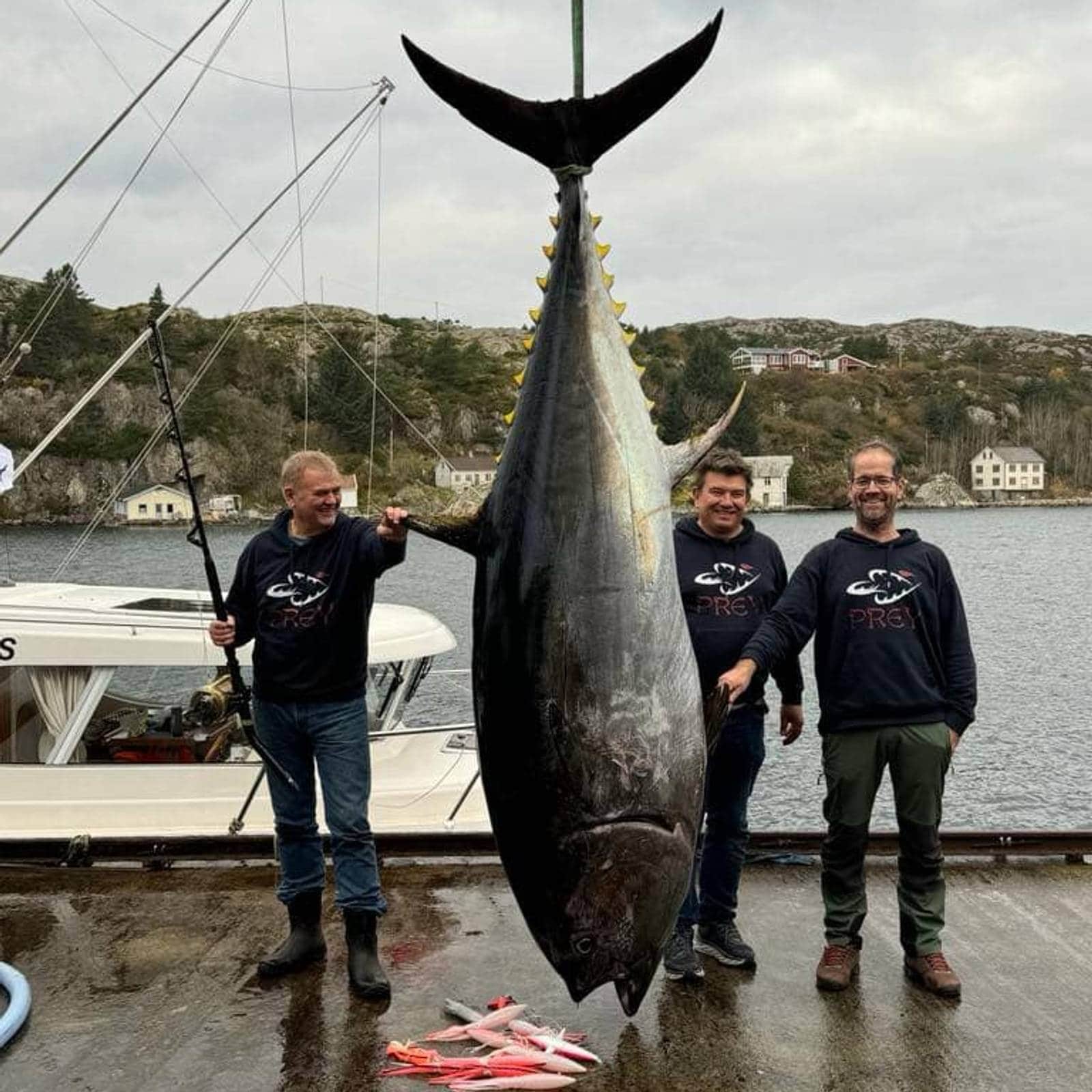 Asmund Aasheim og «Team Bigblue» dro opp Norges største makrellstørje ...