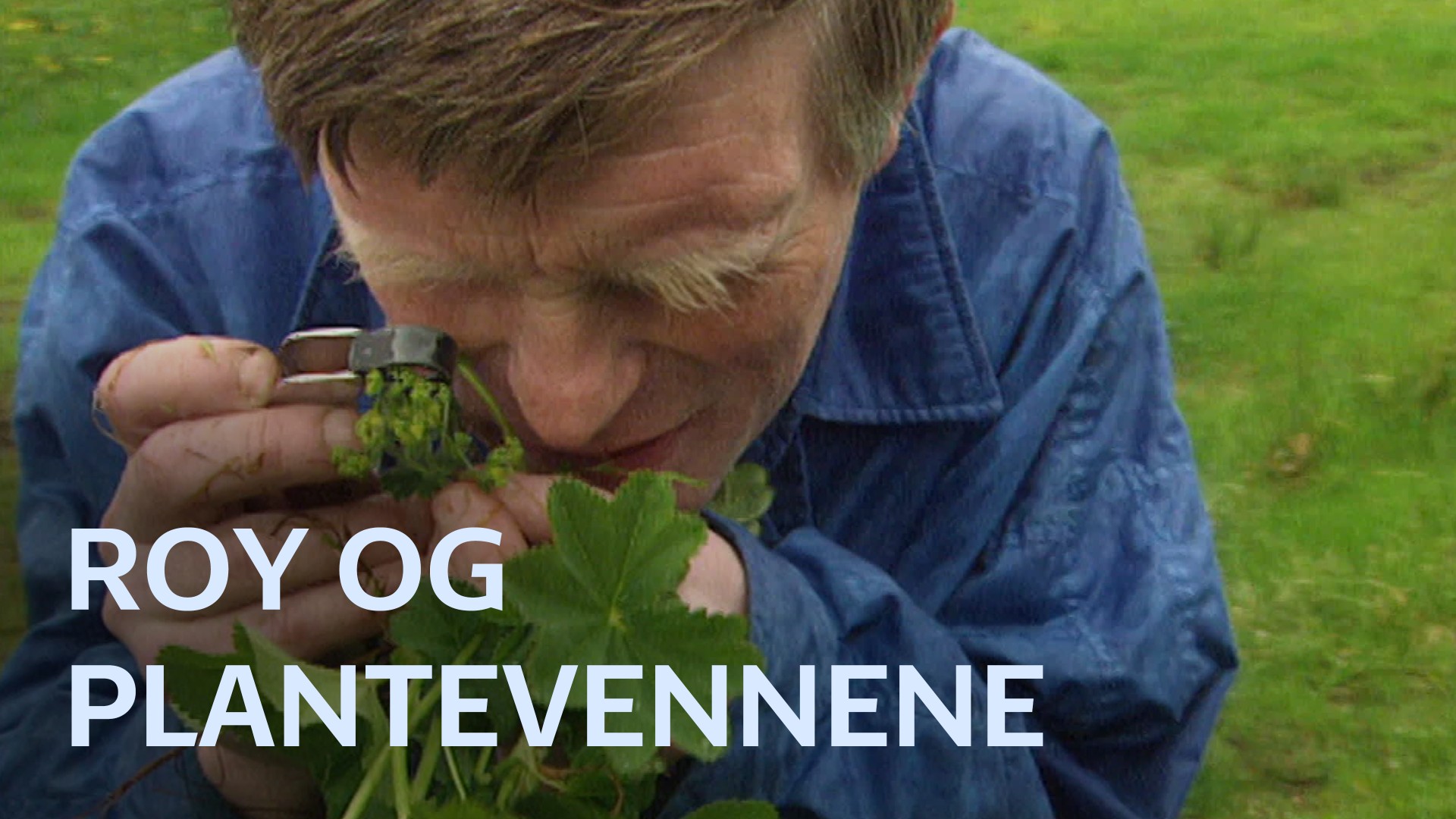 Roy og plantevennene - NRK TV