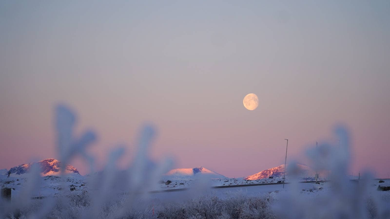 Yr lanserer nytt værvarsel: Sjekk været 21 dager fram i tid – NRK Nordland