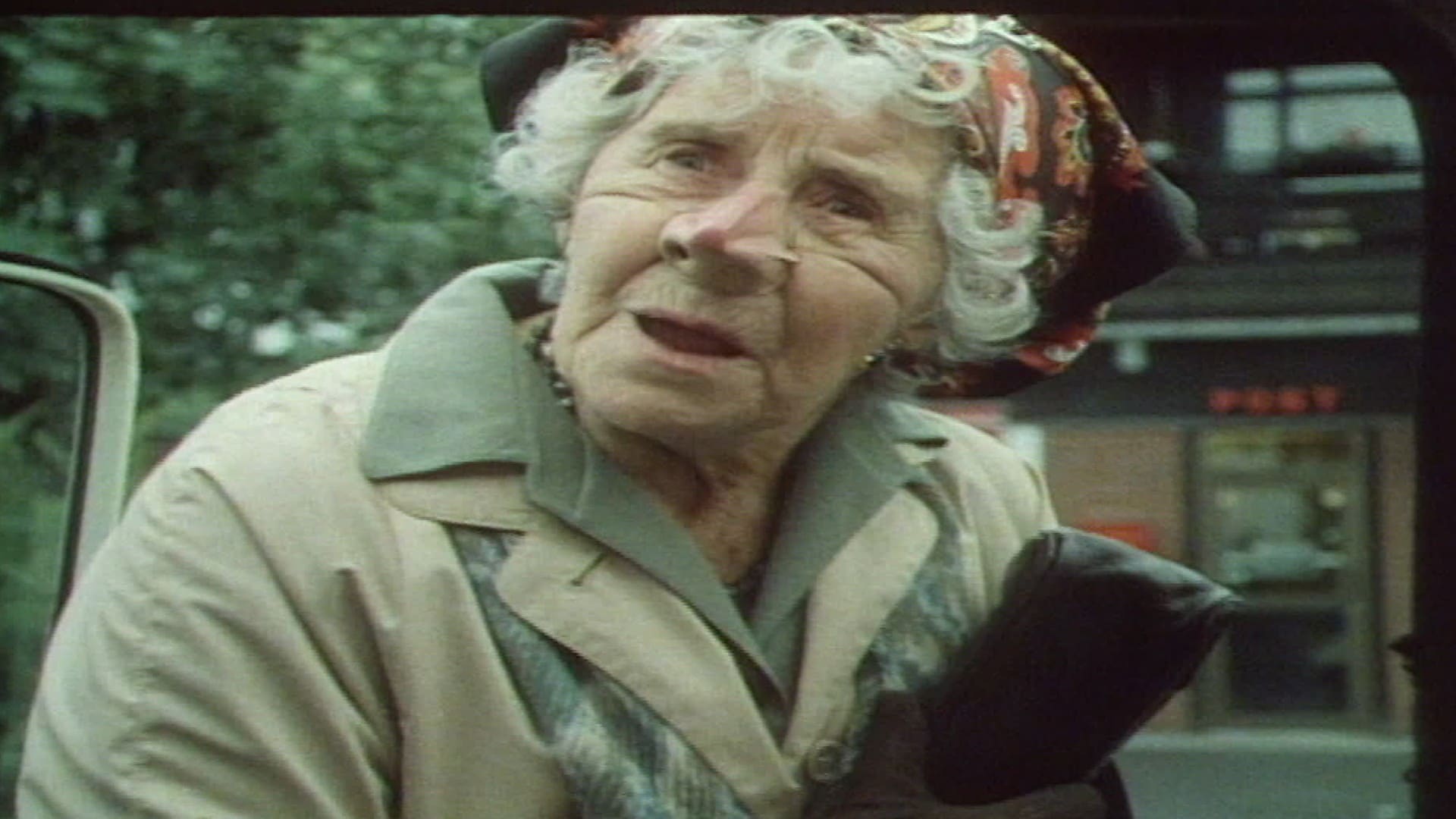 Vill, villere, Villaveien - NRK TV