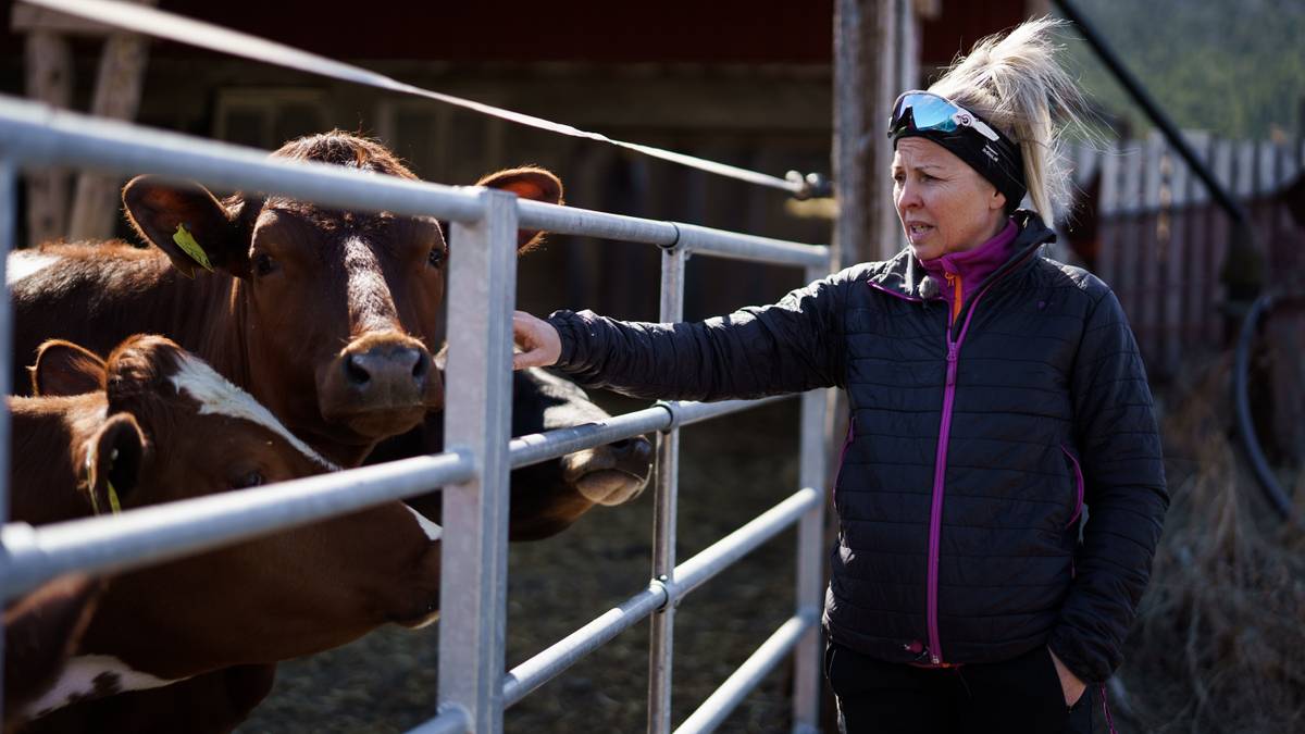 Nord-Norge får 17 millioner i jordbruksoppgjøret – NRK Troms og Finnmark