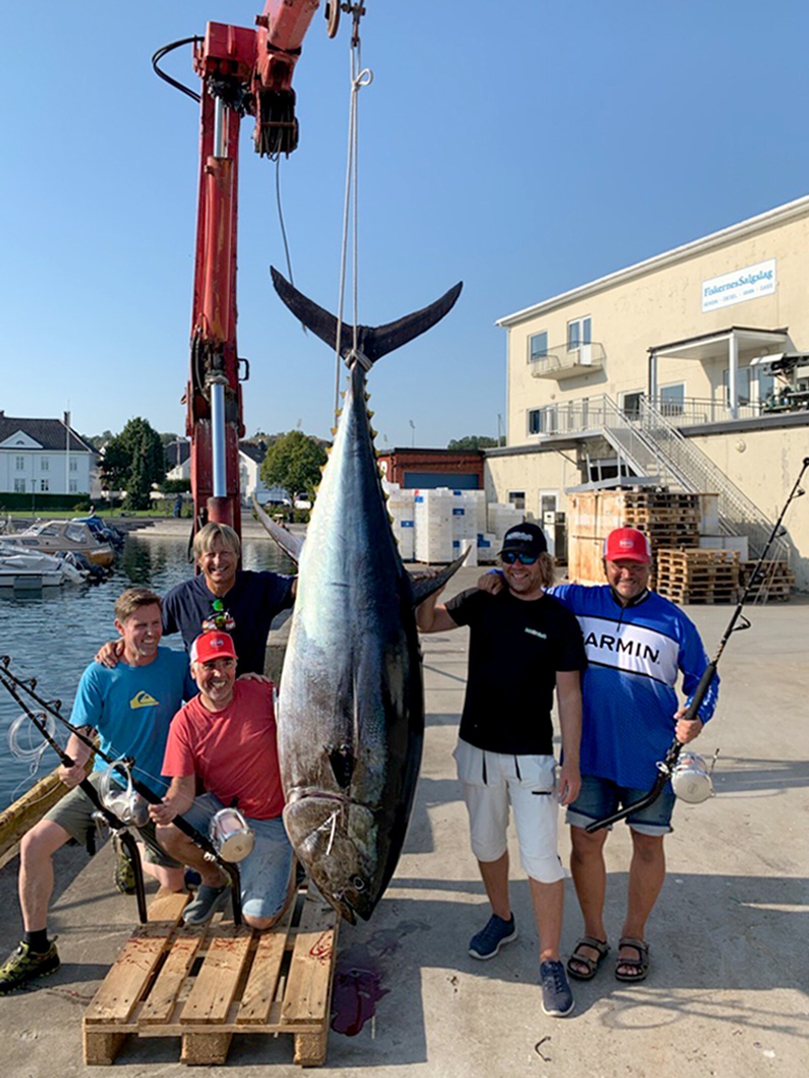 Fikk blåfinnet tunfisk på over 200 kilo – NRK Sørlandet – Lokale ...