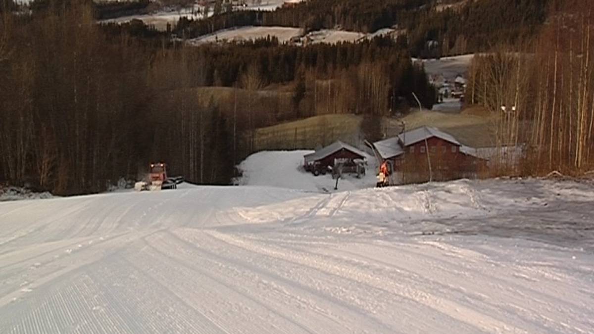 Lovende molybden-funn i Hurdal – Stor-Oslo