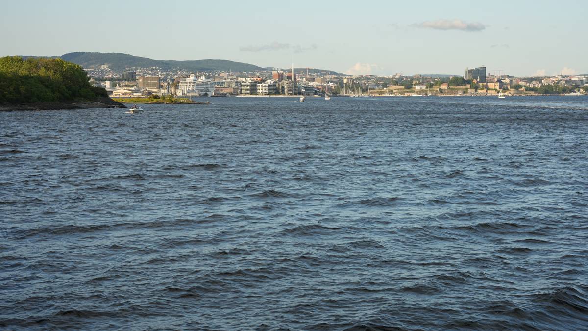 Naturvernforbundet frykter økosystemet i Oslofjorden vil kollapse – NRK ...