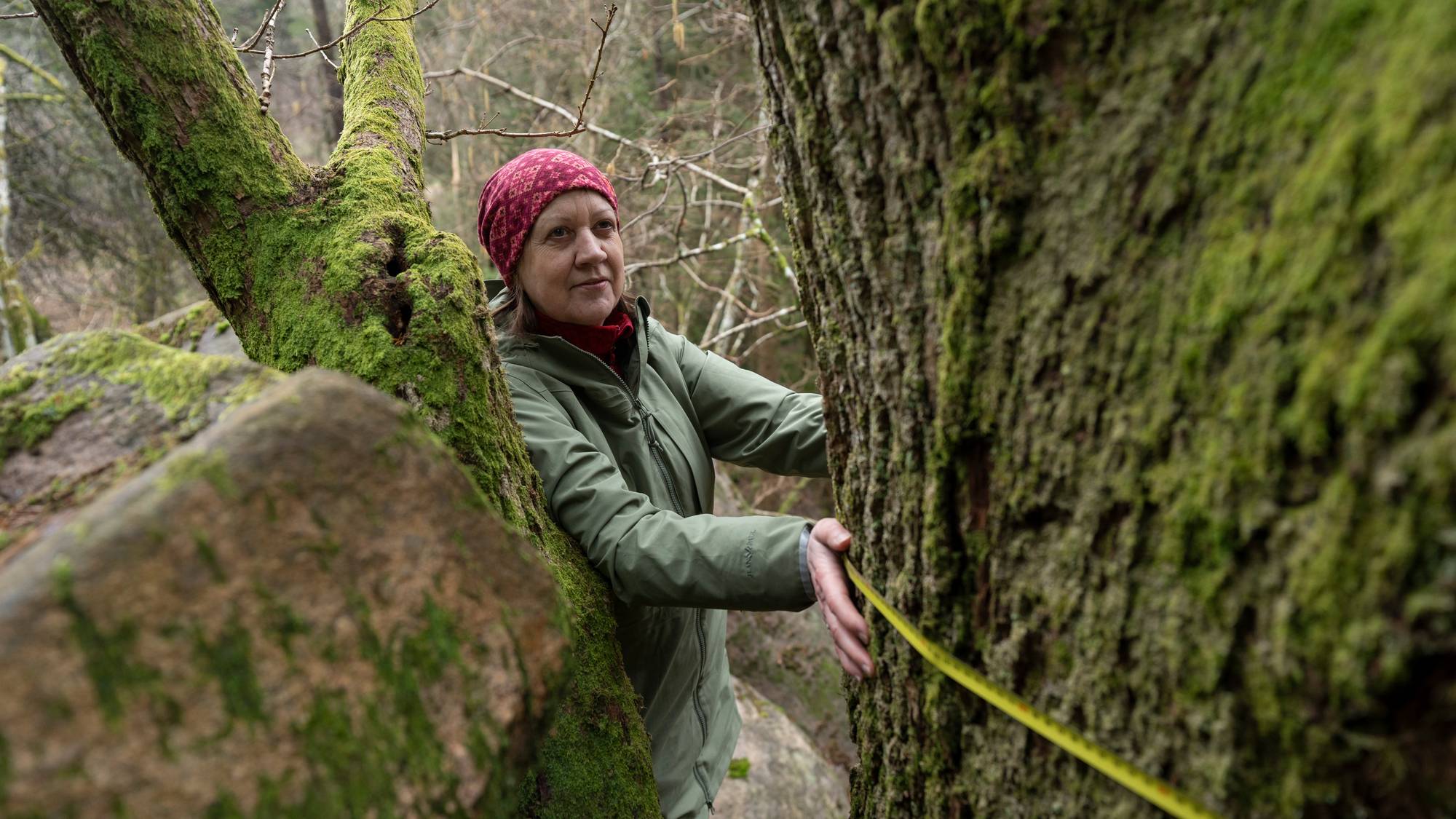 Bygging av Viken Park utsettes – NRK Østfold – Lokale nyheter, TV og radio