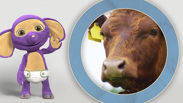 NRK Super - Fantus ja juhtusa