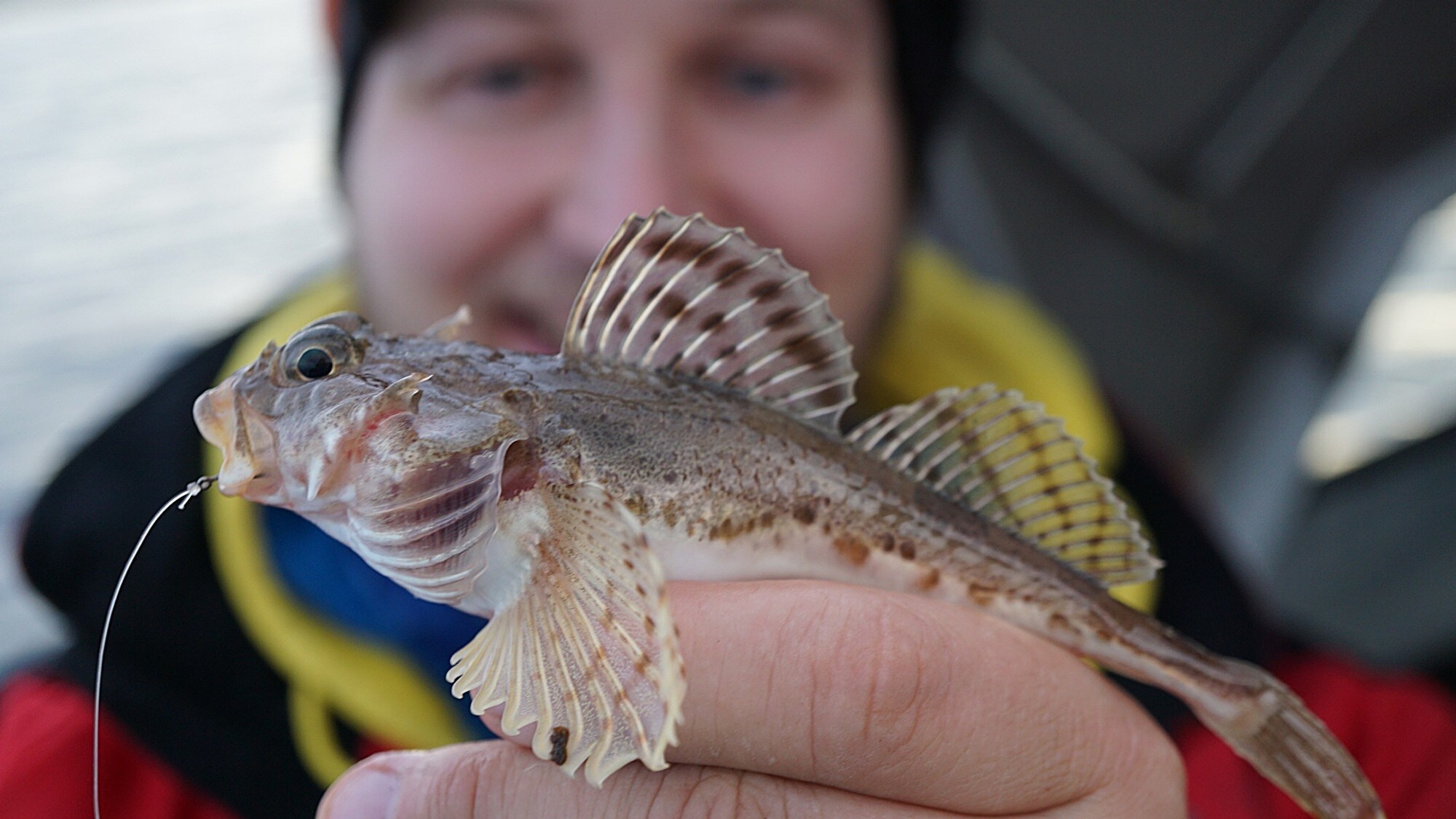 Sjelden fisk på kroken – NRK Finnmark – Lokale nyheter, TV og radio