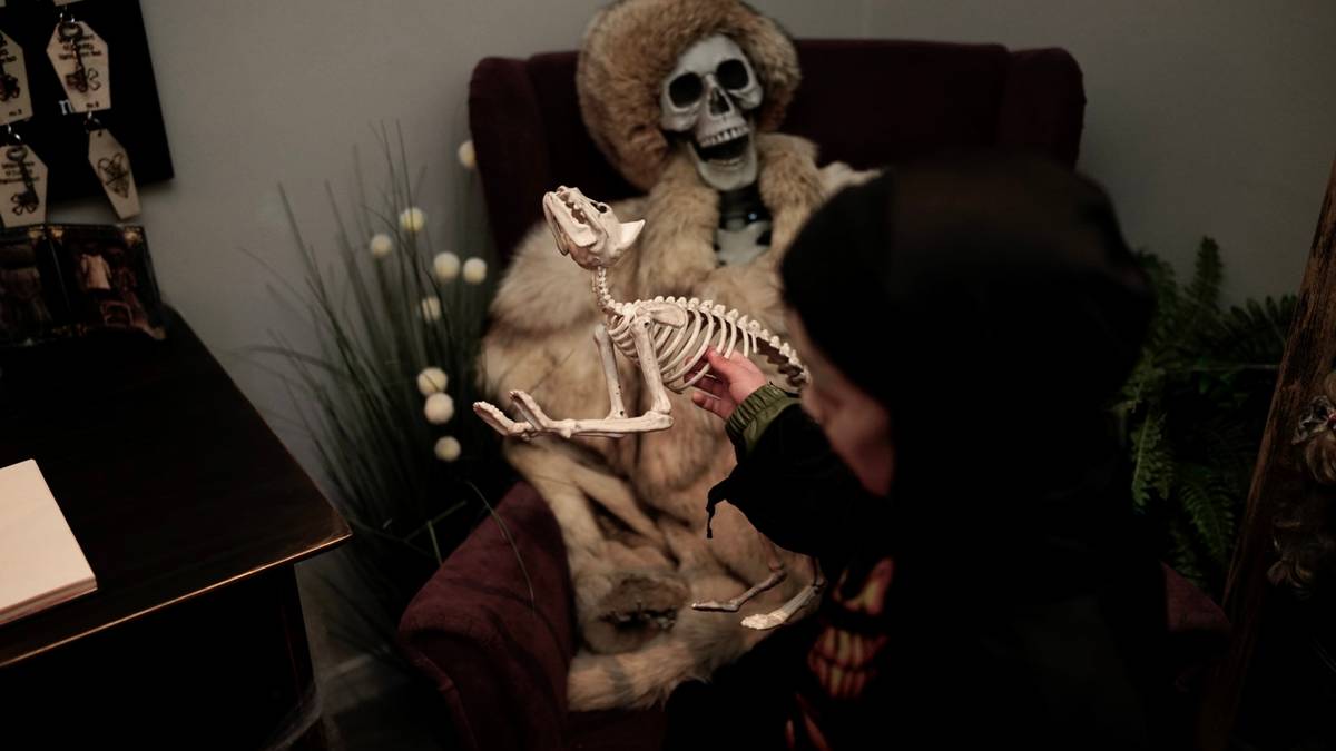 Familien til Christine Bakken Sunde elskar Halloween – NRK Møre og Romsdal – Lokale nyheter, TV ...