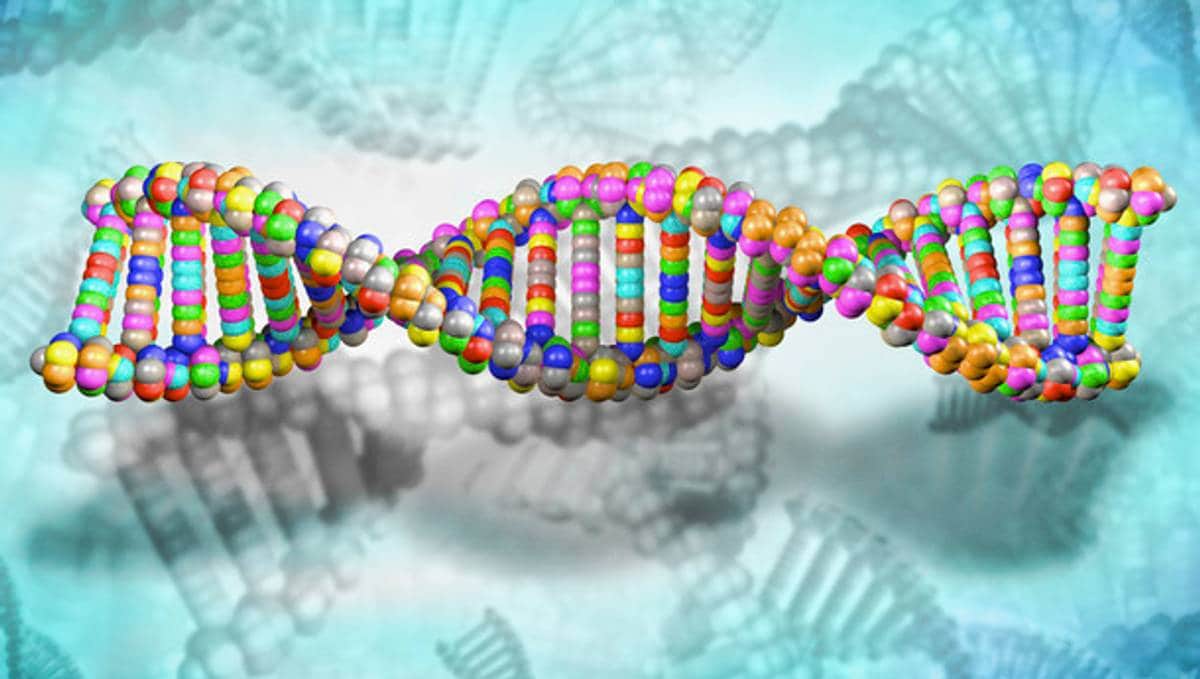 FBI dna-registrerer innvandrere – NRK Urix – Utenriksnyheter og ...