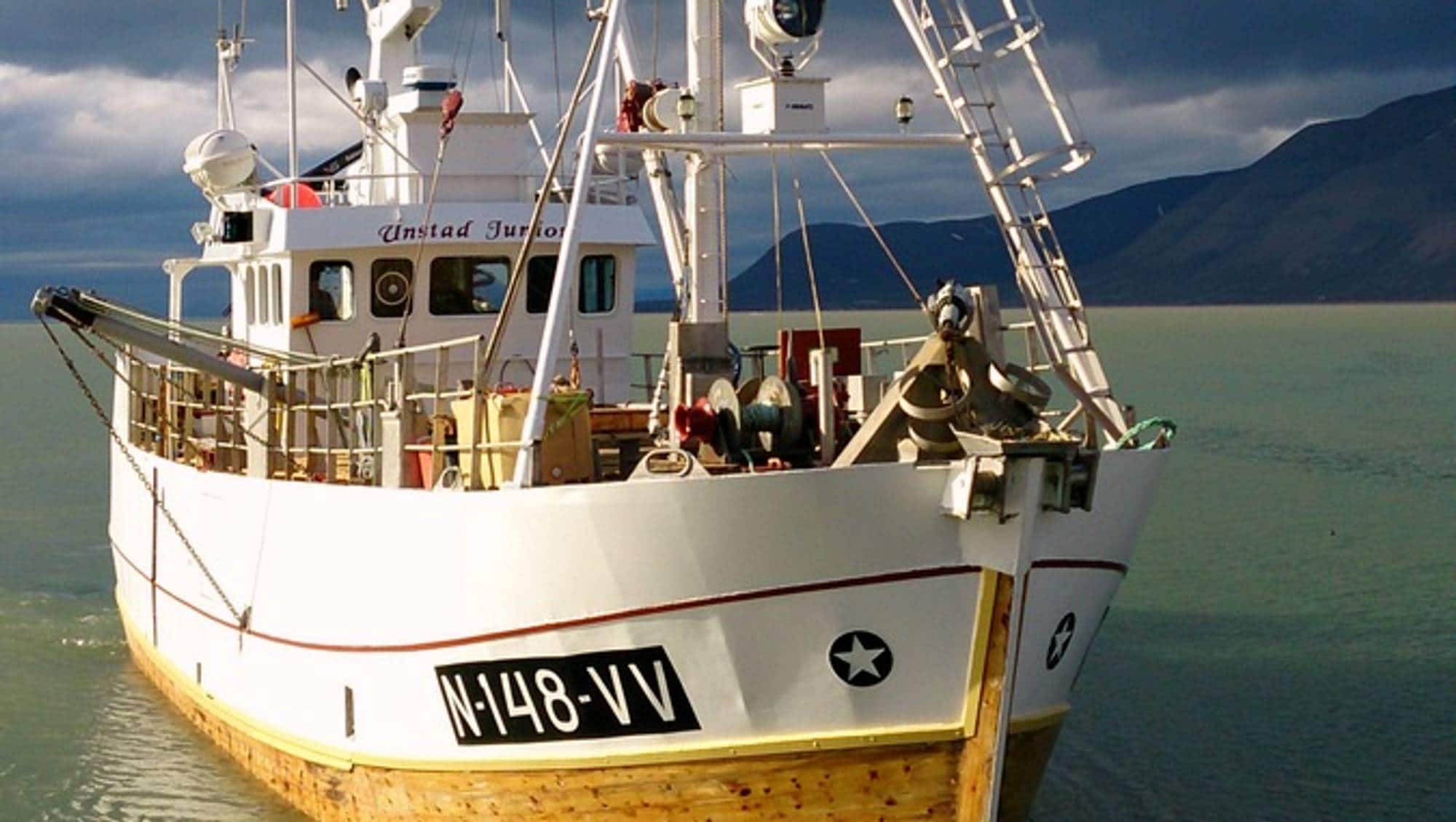 Slik foregår dagens hvalfangst – NRK Nordland