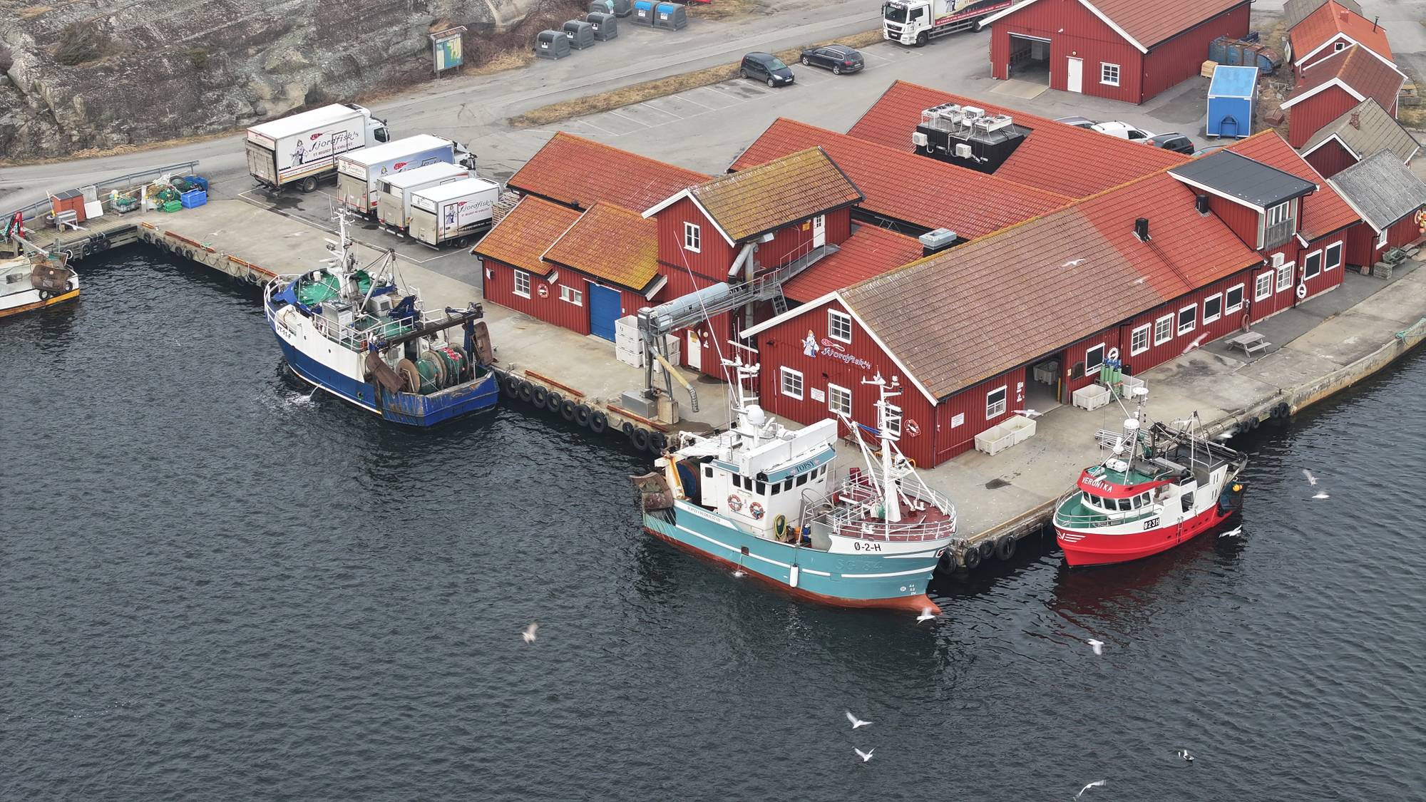 Full stopp i rekefiske: Ferske reker kan bli uaktuelt – NRK Østfold ...