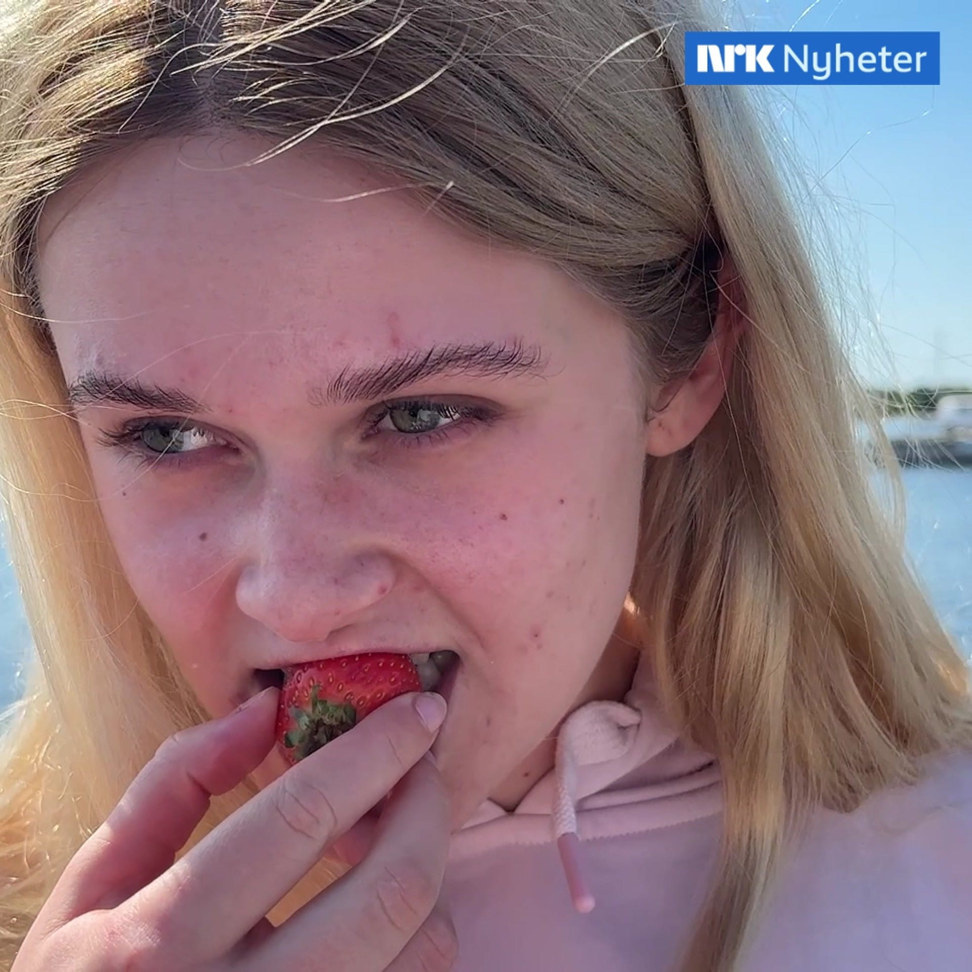 Smaker de forskjell på jordbærene? – NRK