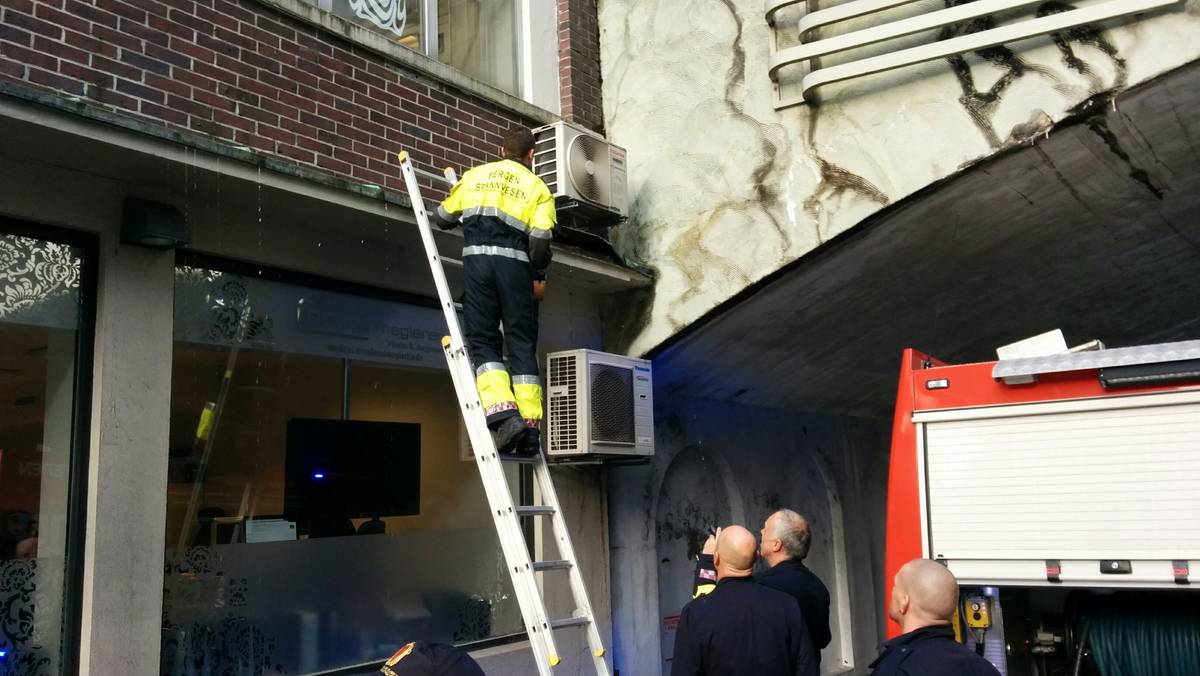 VASSLEKKASJE I MARKEVEIEN: – NRK Vestland