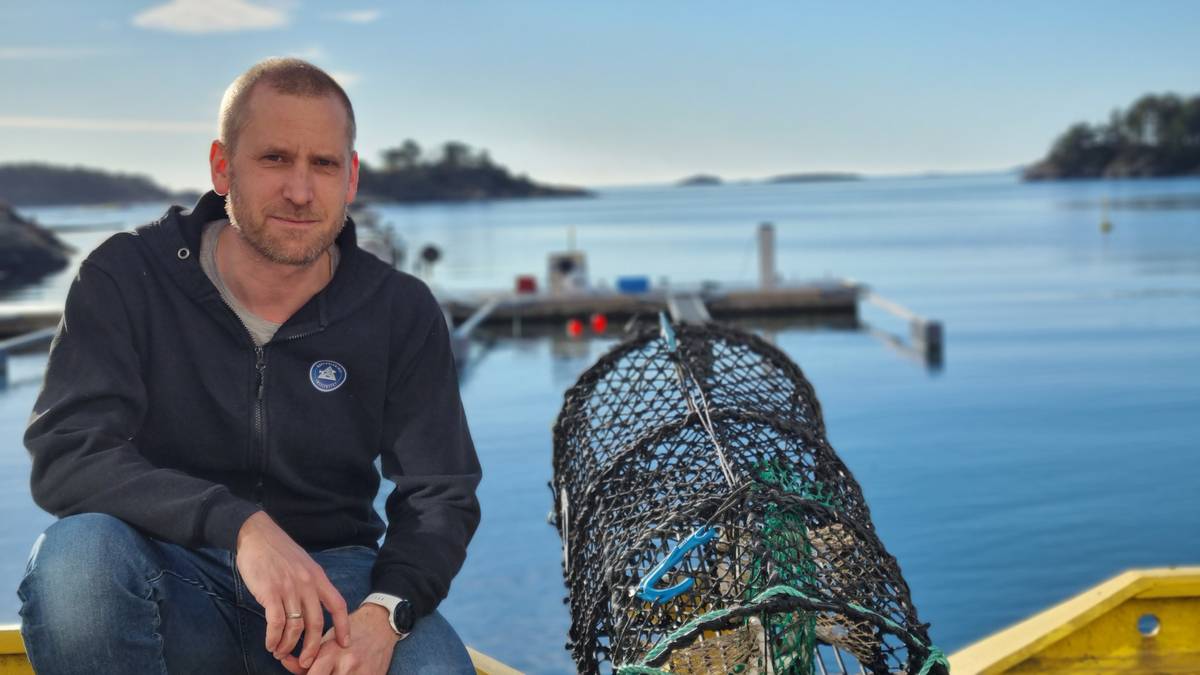 Forskere slår alarm om hummerbestanden – NRK Sørlandet – Lokale nyheter ...