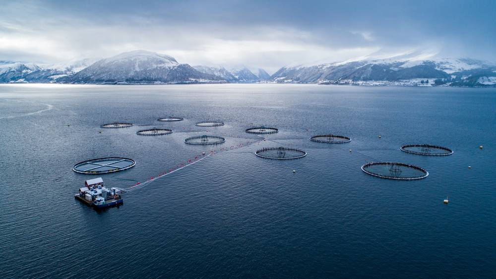 Miljødirektoratet seier ja til at Ode AS får etablere nytt anlegg for ...